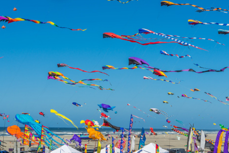 Celebrating Uttarayan at Rann Utsav: The International Kite Festival ...